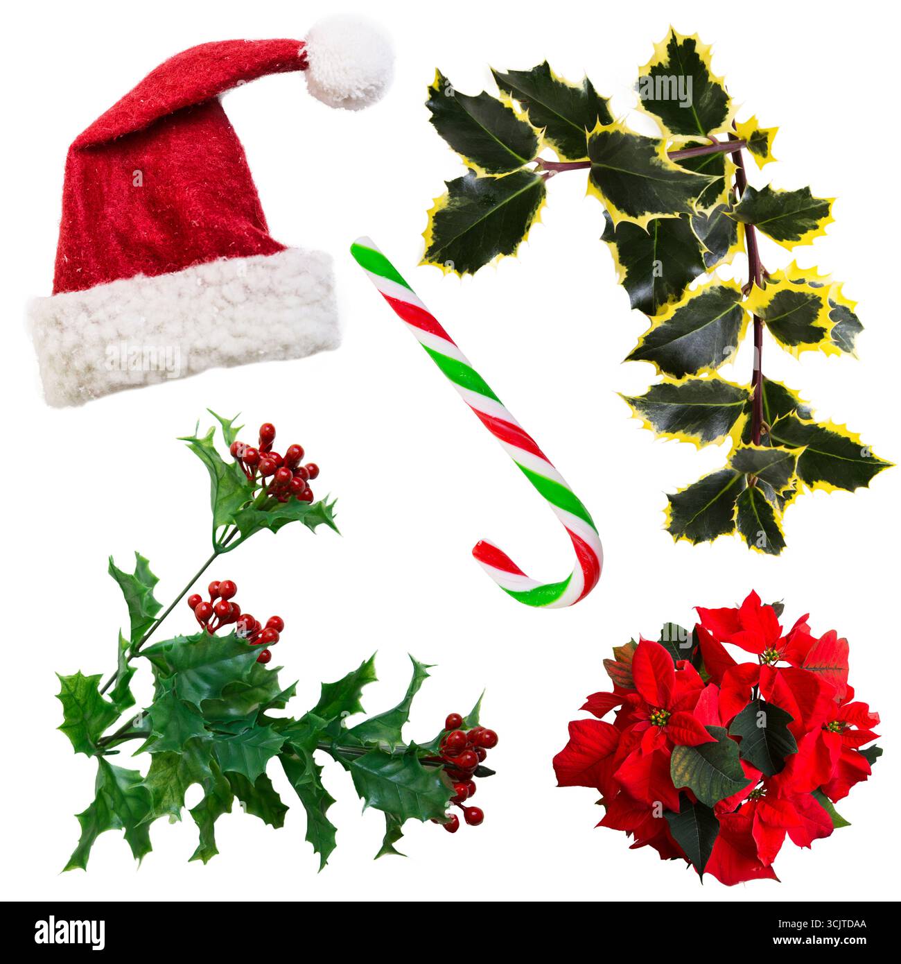 Santa's hat, poinsettia, sprigs of holly and candy cane as symbols of ...
