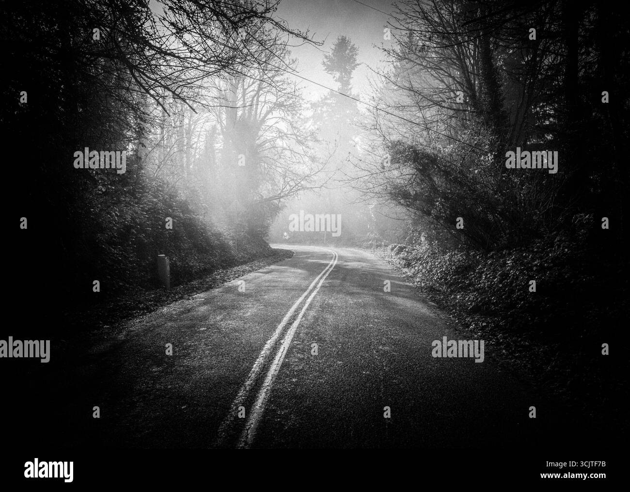 Dream like landscape Black and White Stock Photos & Images - Alamy