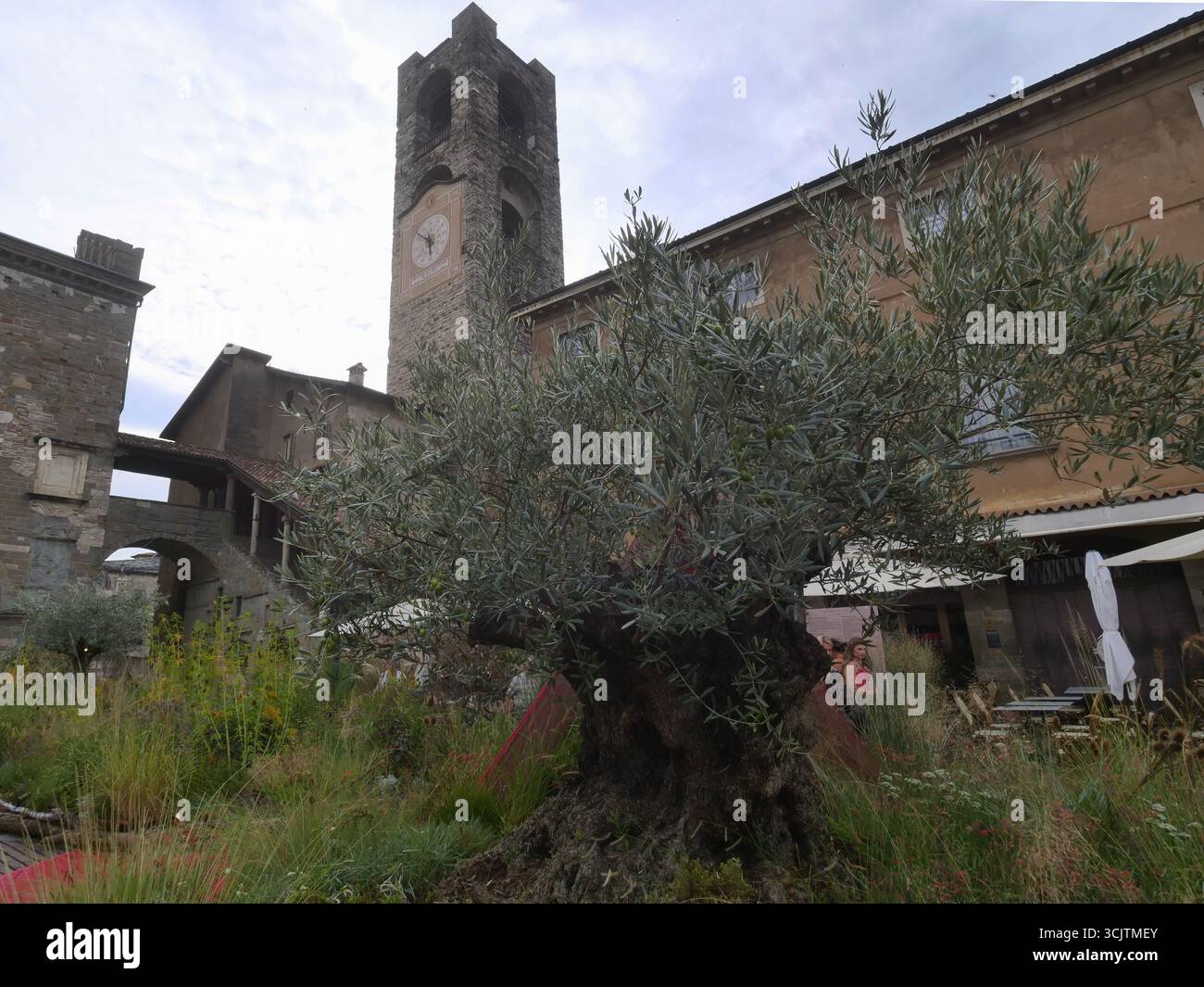 XV edition of the landscape masters in Bergamo, Piazza Vecchia filled ...