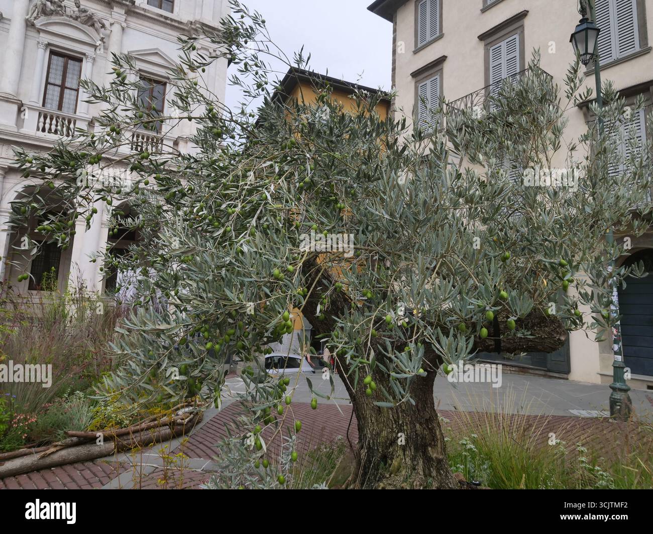 XV edition of the landscape masters in Bergamo, Piazza Vecchia filled ...