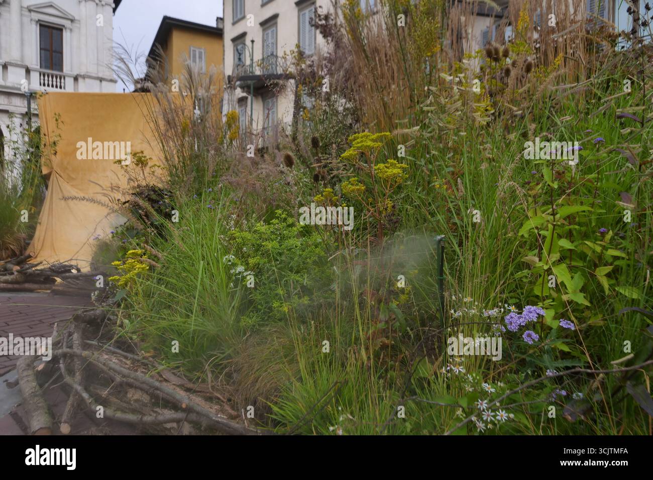 XV edition of the landscape masters in Bergamo, Piazza Vecchia filled ...