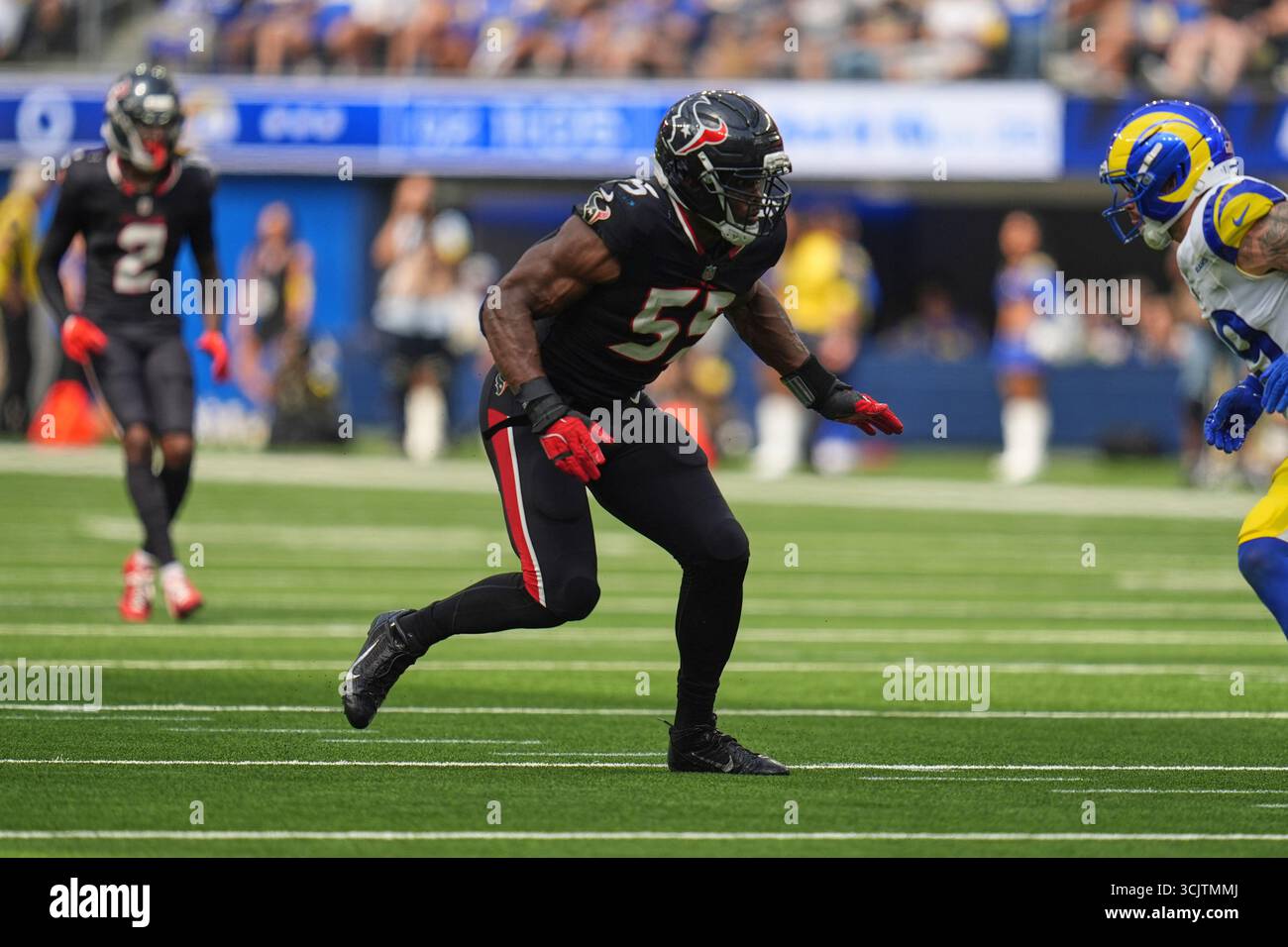 Houston Texans defensive end Danielle Hunter (55) of an NFL football ...