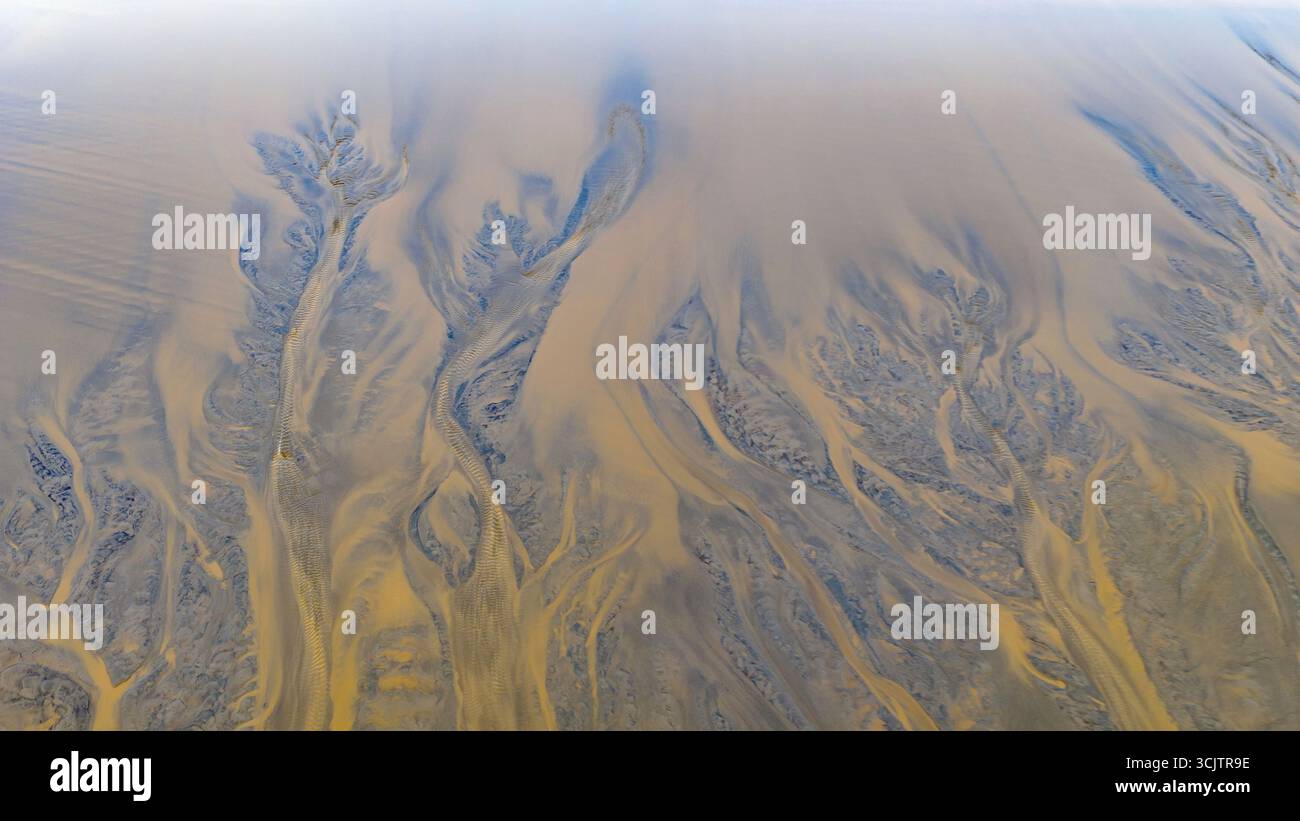"Tidal trees," fan-shaped water traces left by the ebb tide, appear on ...