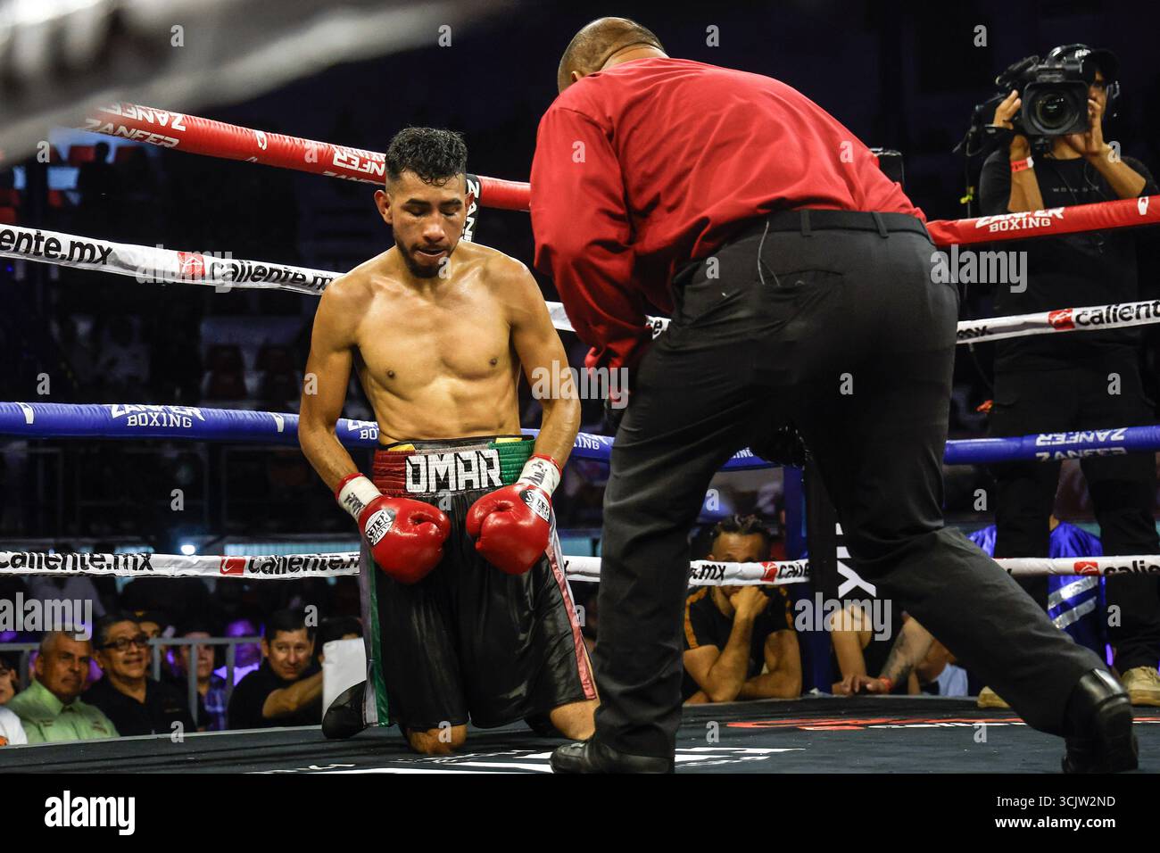 NOGALES, MEXICO - SEPTEMBER 6: Referee counts Omar García in his fight ...
