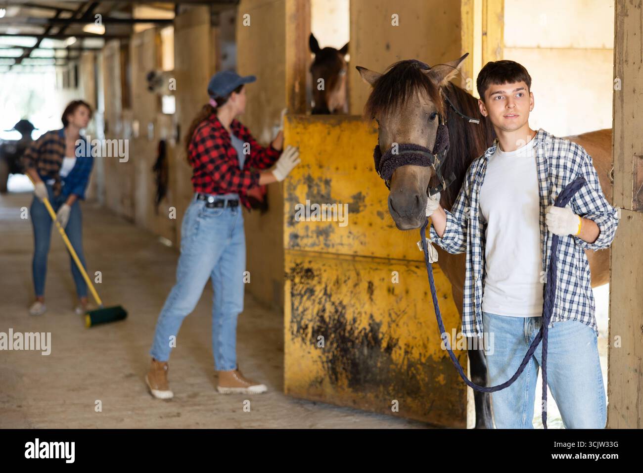 Young stable worker leads horse out of its stall by bridle Stock Photo ...