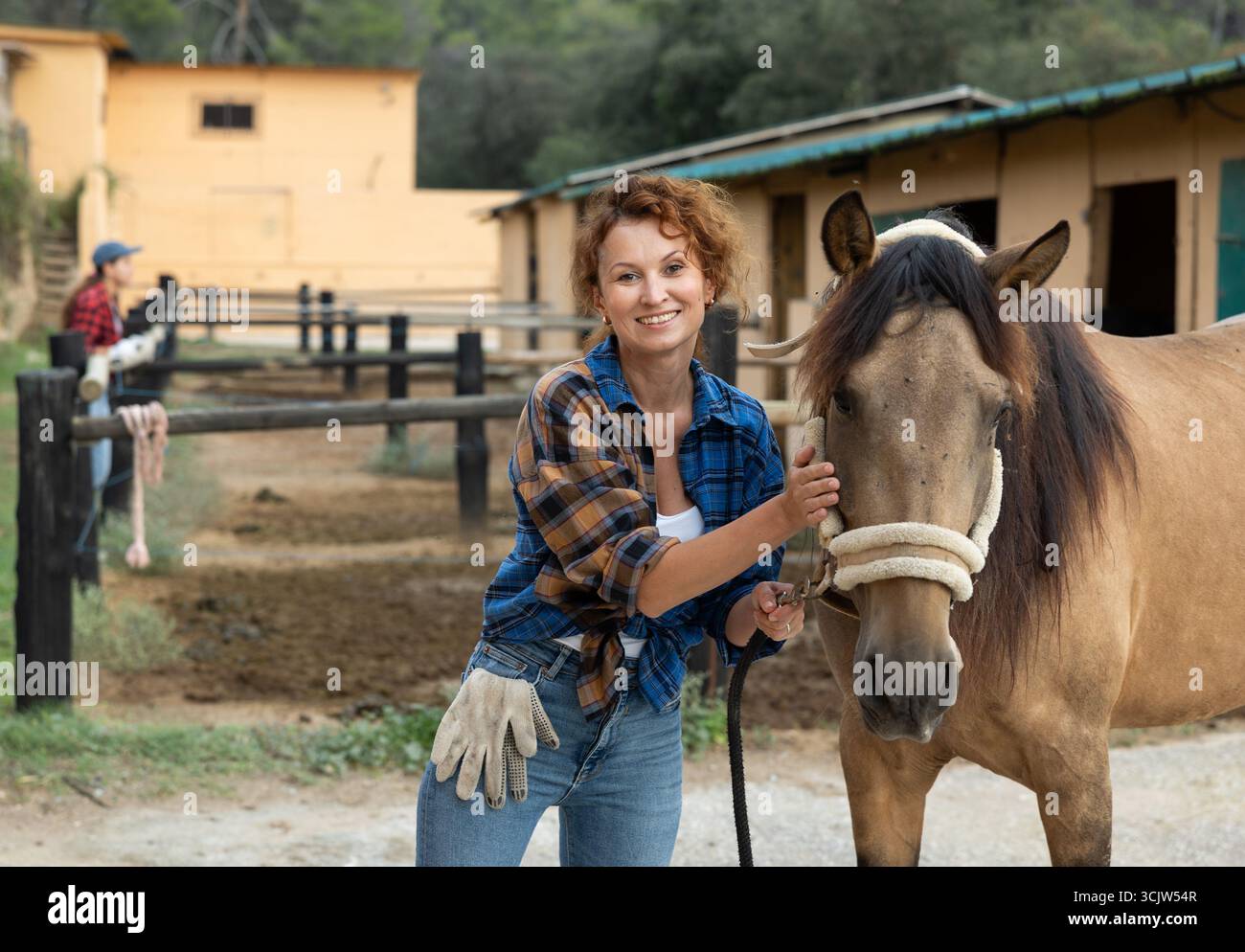 Backyard of stables on typical autumn day - horse walking Stock Photo ...