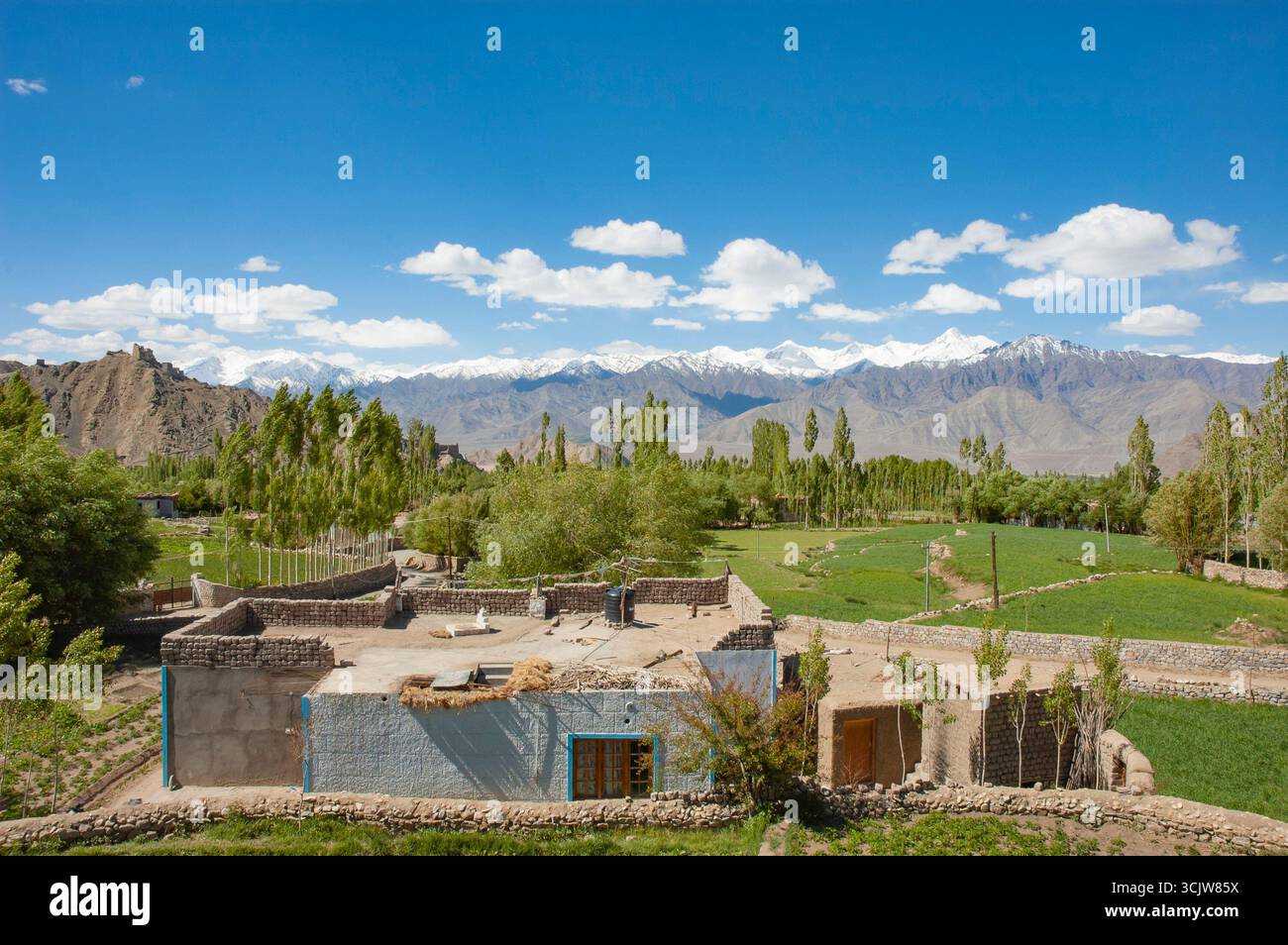 leh village, leh city, ladakh Stock Photo - Alamy