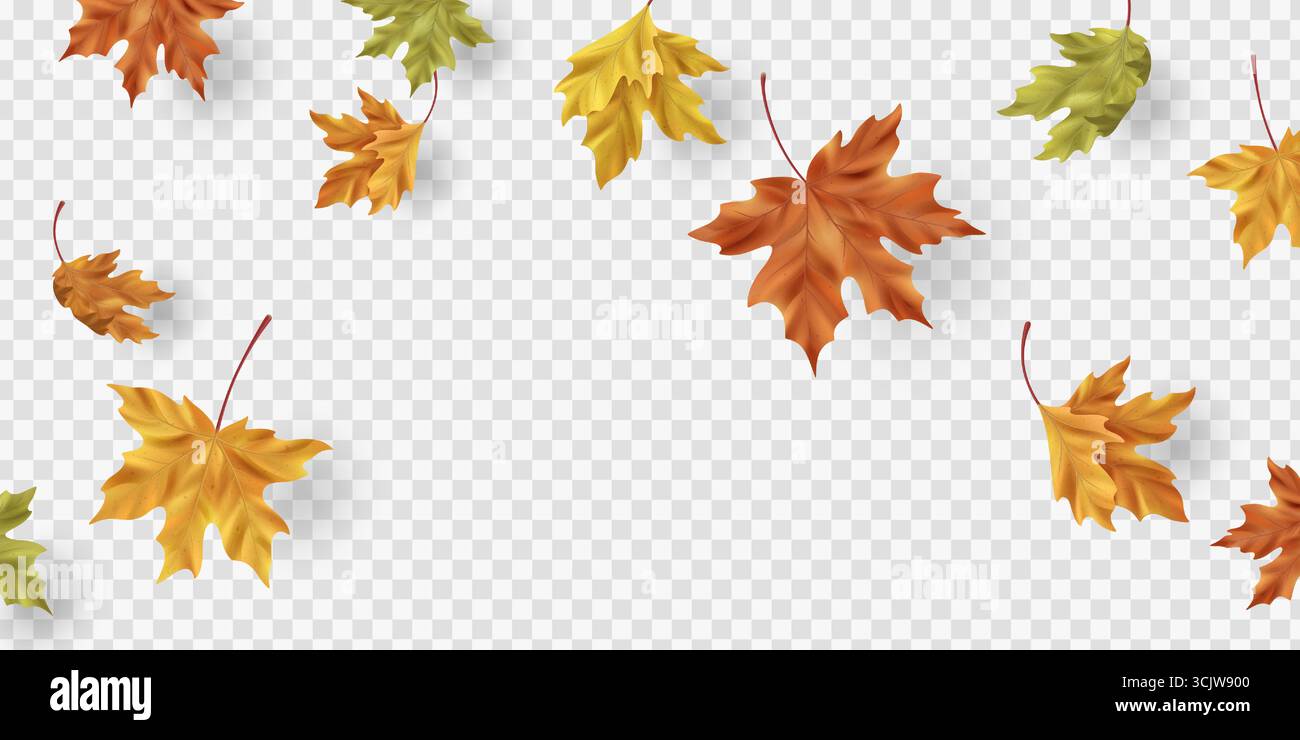 Realistic maple leaf border with falling and flying autumn foliage in ...