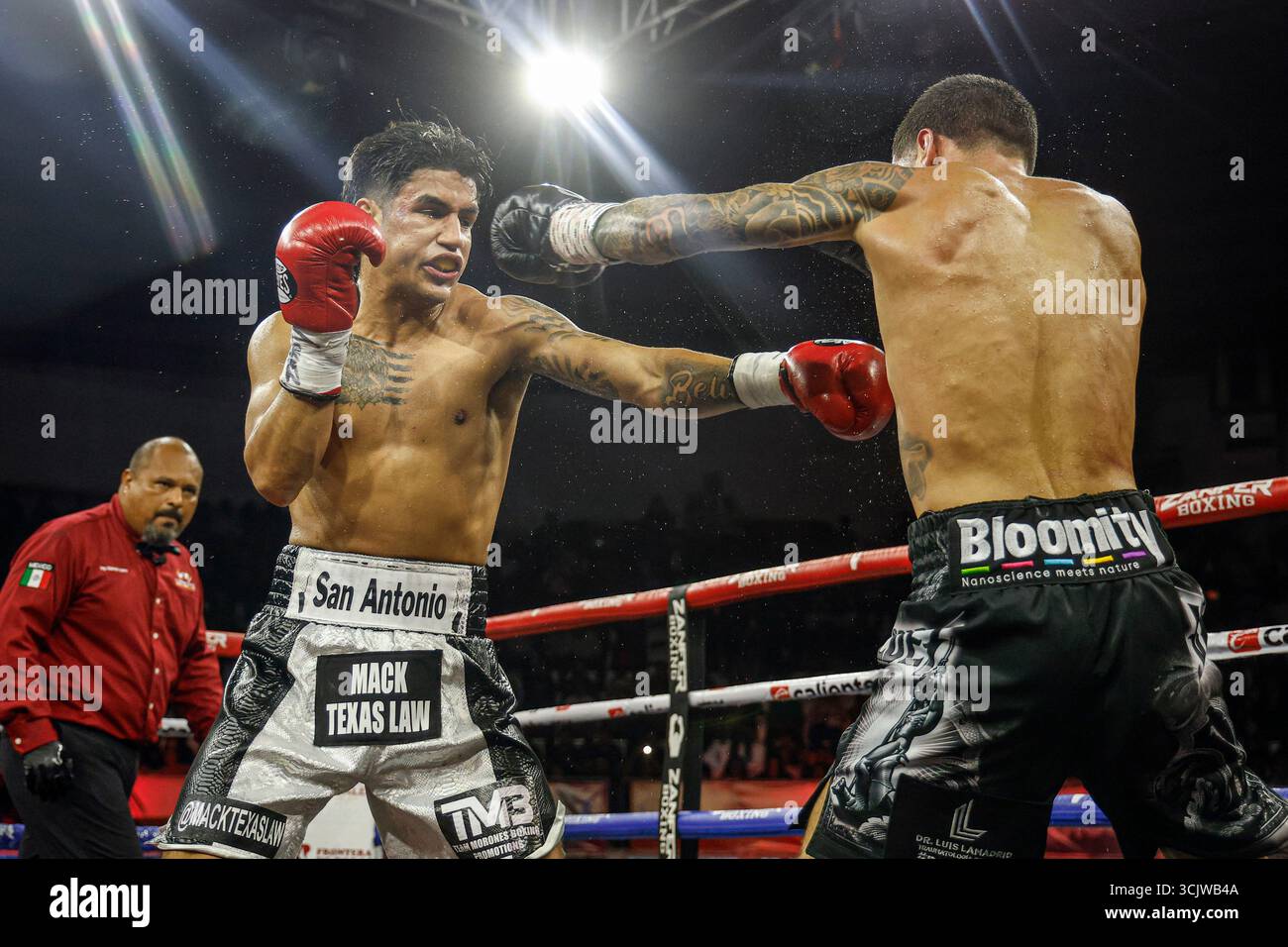 NOGALES, MEXICO - SEPTEMBER 6: Oscar Valdez (R) fights against Ricky ...