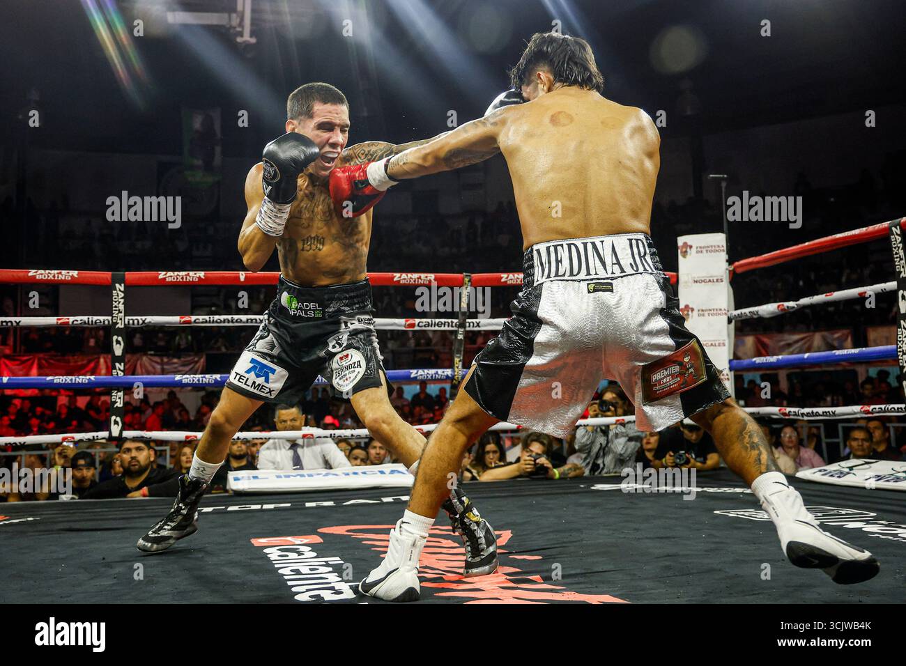 NOGALES, MEXICO - SEPTEMBER 6: Oscar Valdez (L) fights against Ricky ...