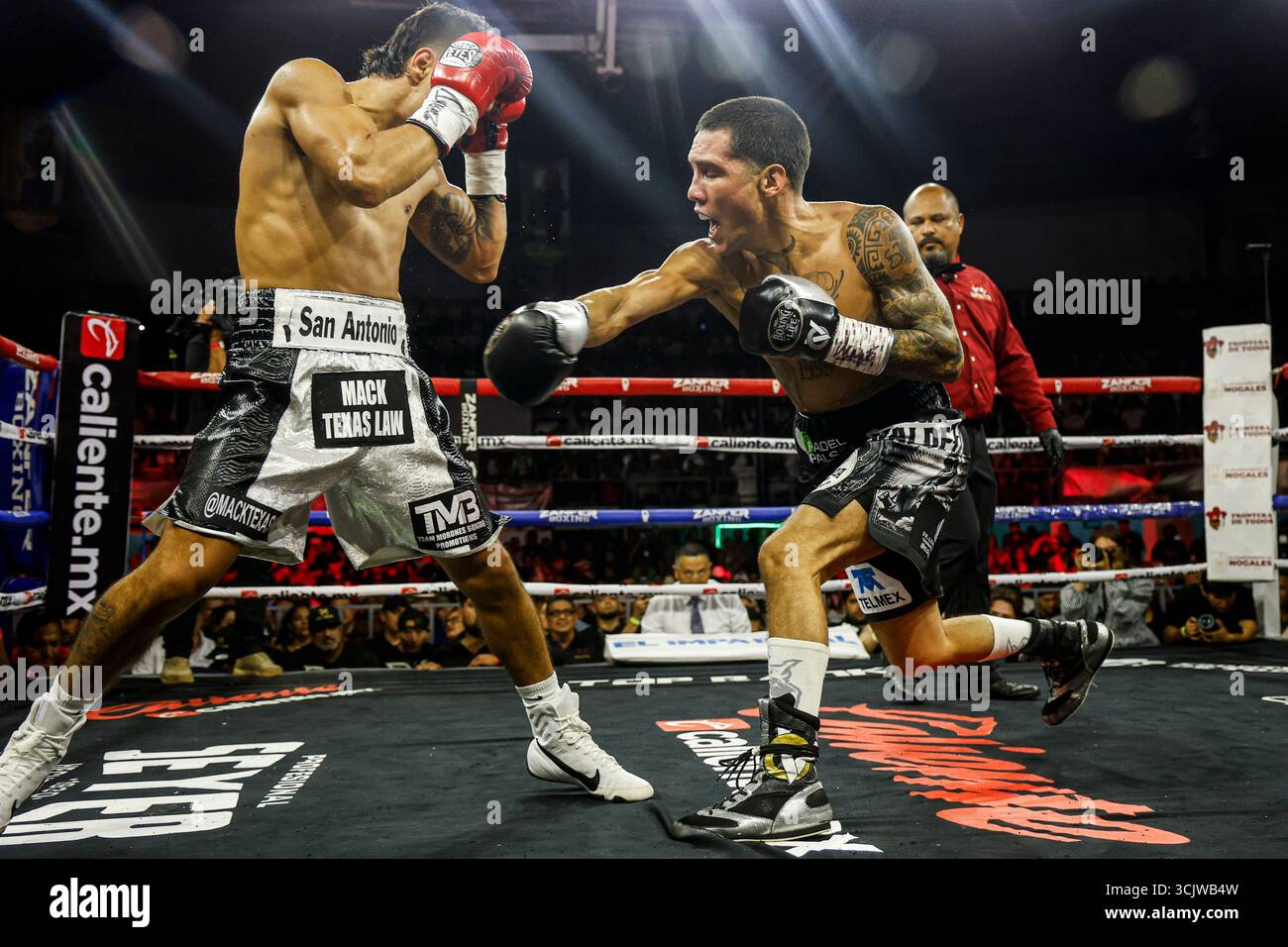 NOGALES, MEXICO - SEPTEMBER 6: Oscar Valdez (R) fights against Ricky ...