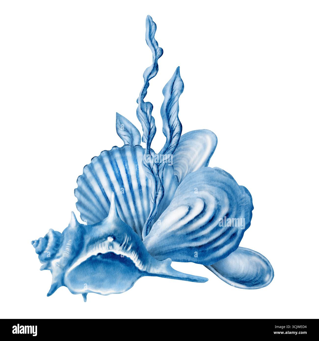 Marine seashells arrangement:twisted spiky seashell,oyster,mussel ...