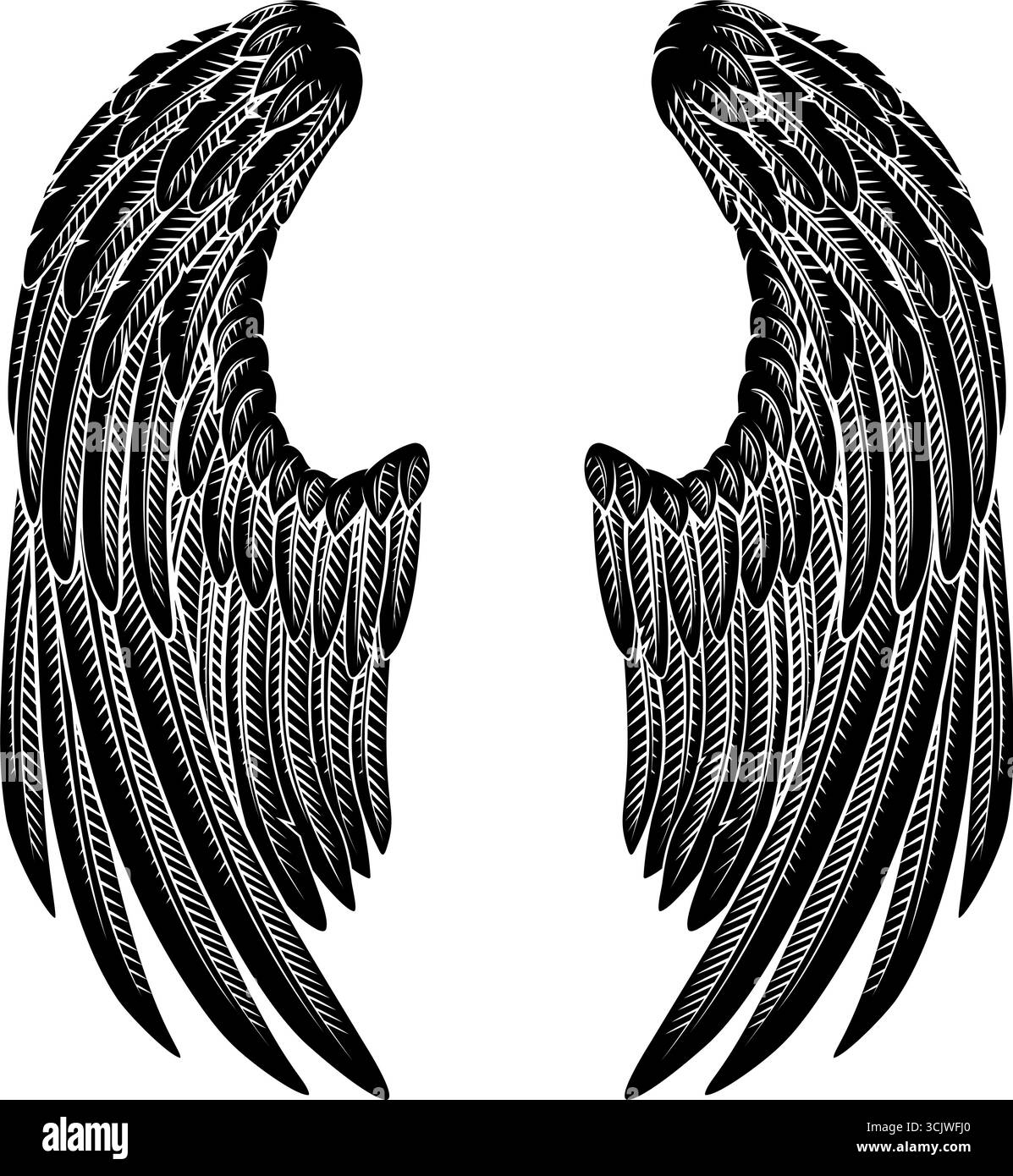 Angel Eagle Pegasus Feather Wings Illustration Stock Vector Image & Art ...