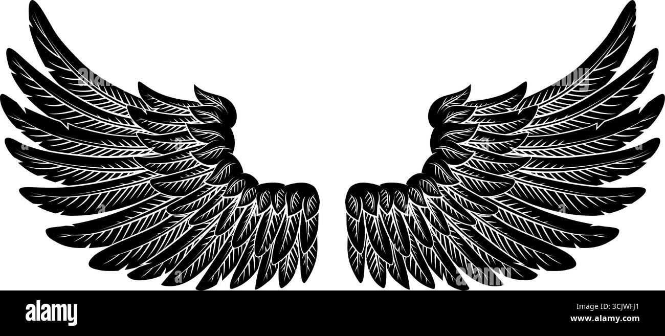 Angel Eagle Pegasus Feather Wings Illustration Stock Vector Image & Art ...