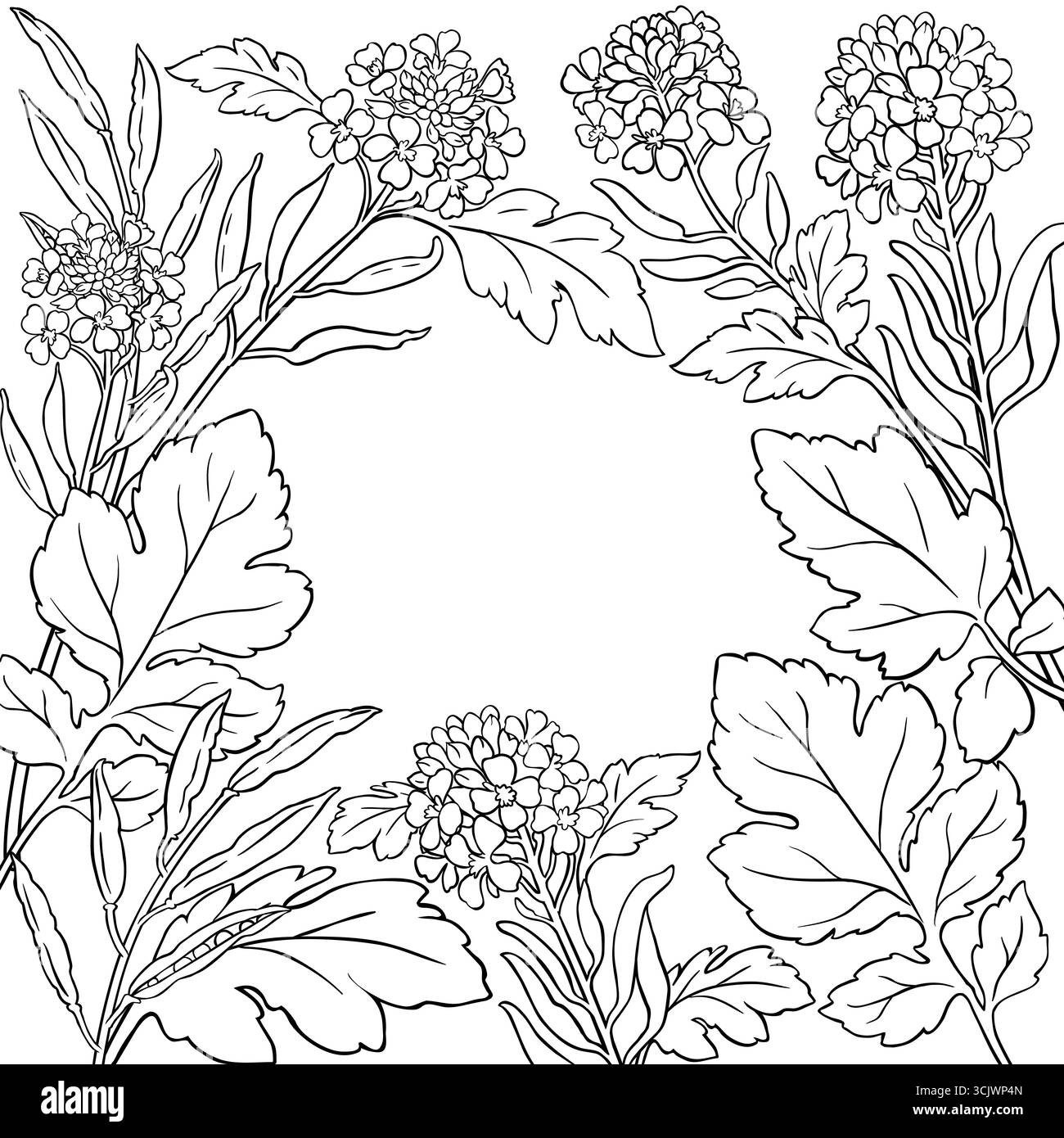 Mustard seeds Black and White Stock Photos & Images - Alamy