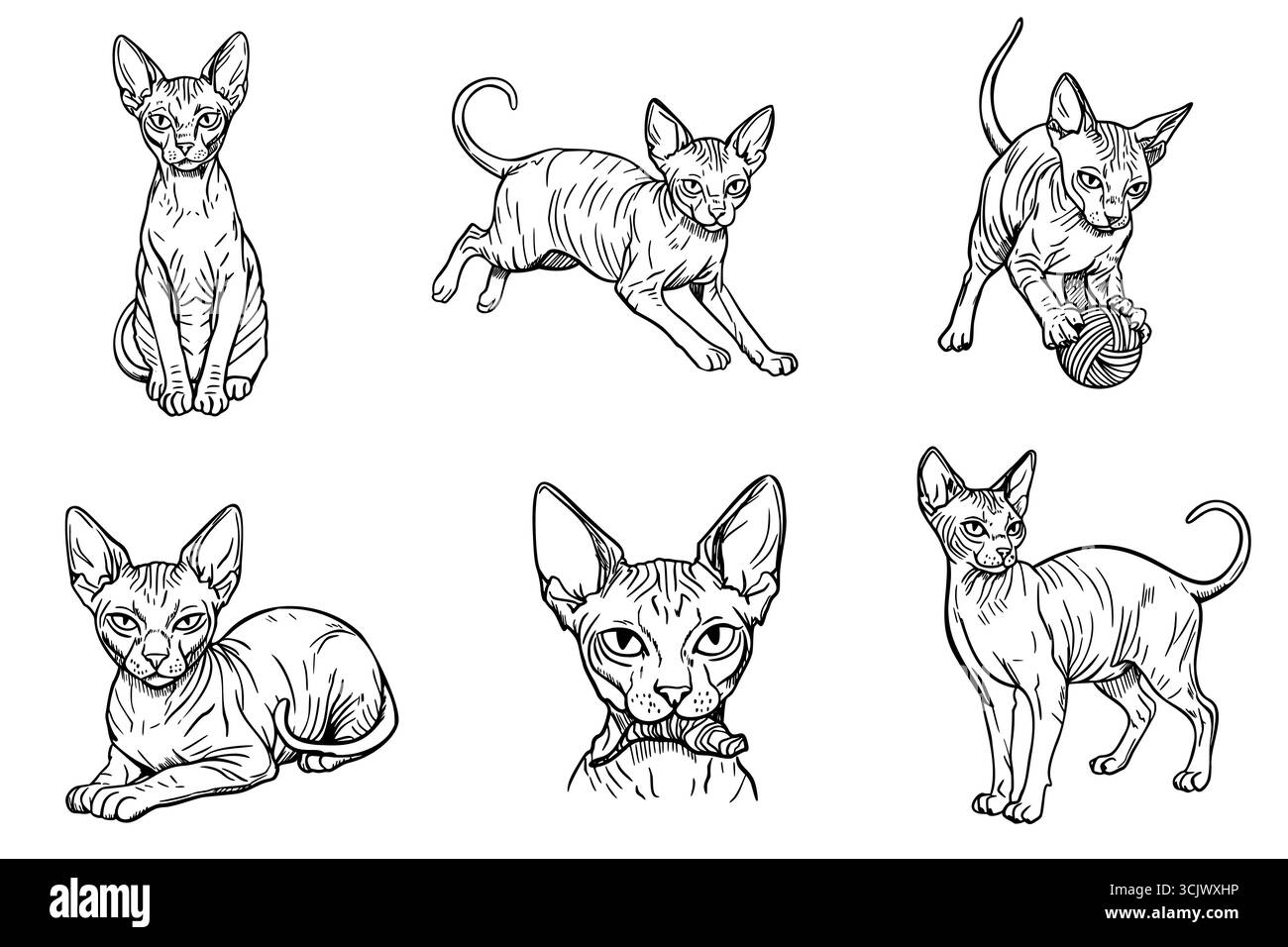 Adorable animal sketches Black and White Stock Photos & Images - Alamy