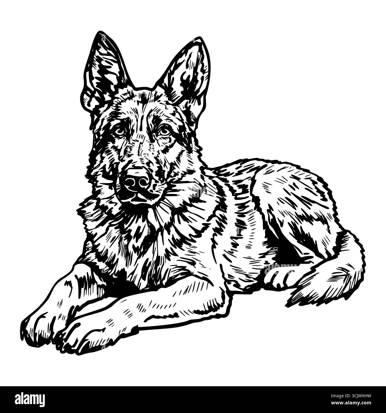 Shepherd breed mix Stock Vector Images - Alamy