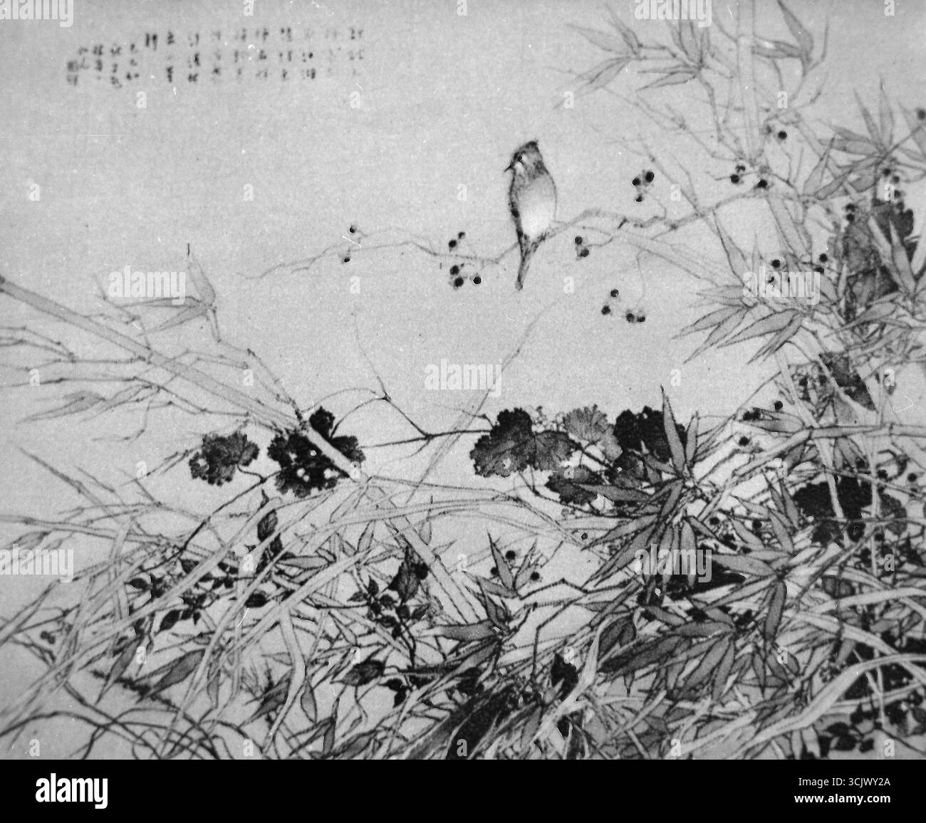 Artist impression drawing Black and White Stock Photos & Images - Alamy