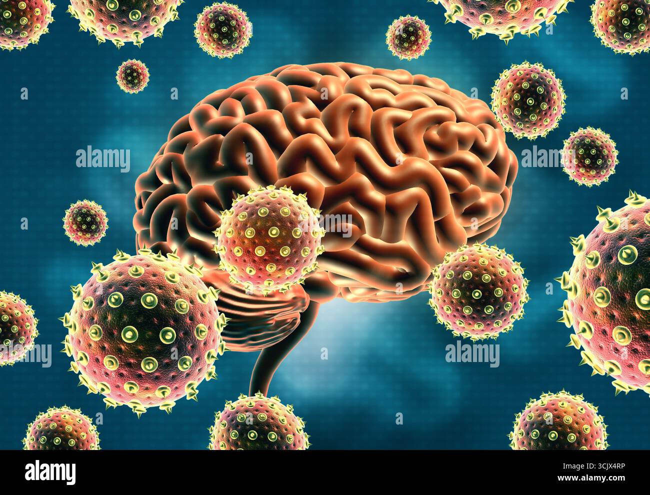 Viral infection of the Human brain. 3d illustration Stock Photo - Alamy