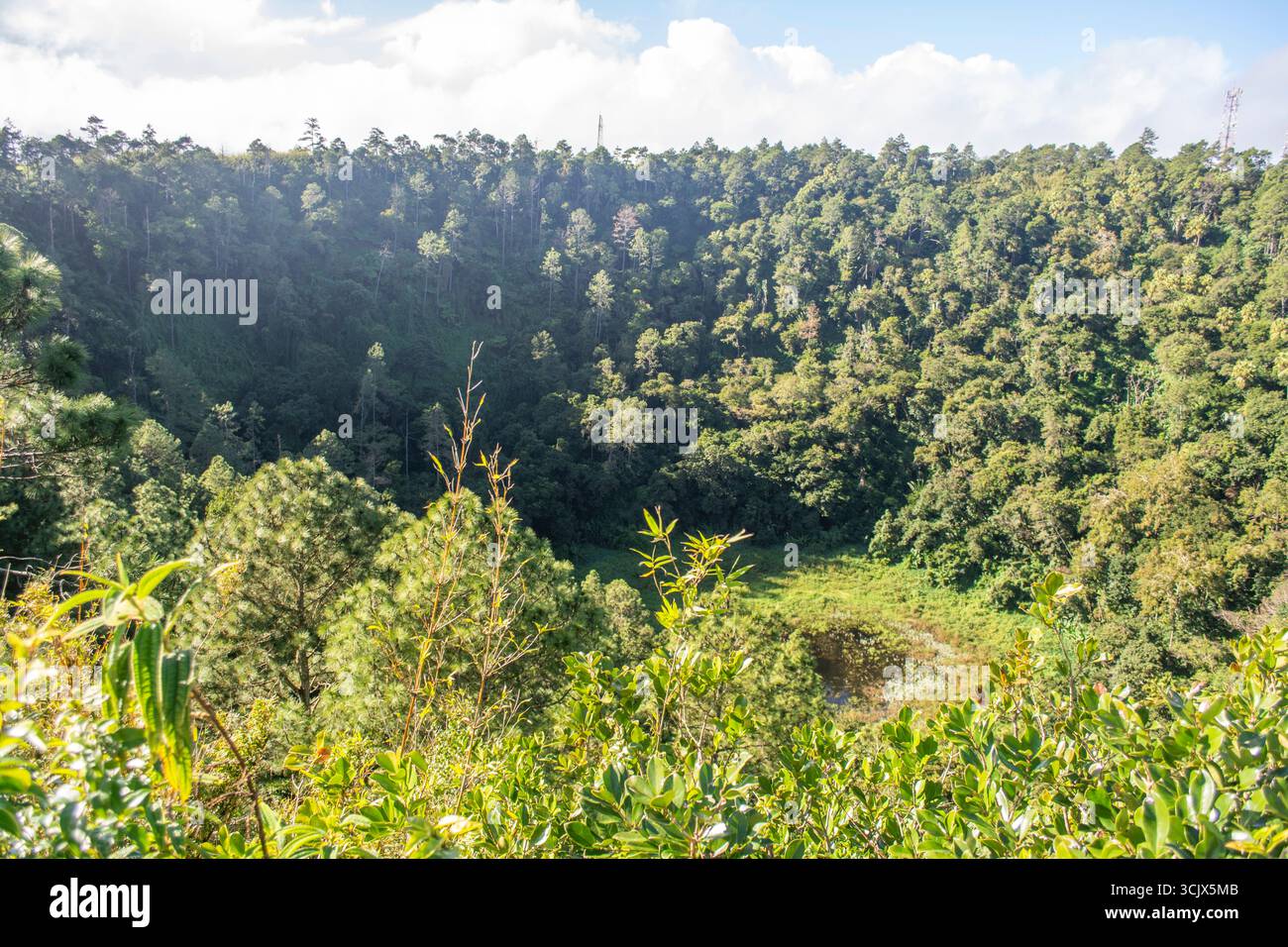 Crater of the dormant volcano, Trou aux Cerfs, at Curepipe on the ...