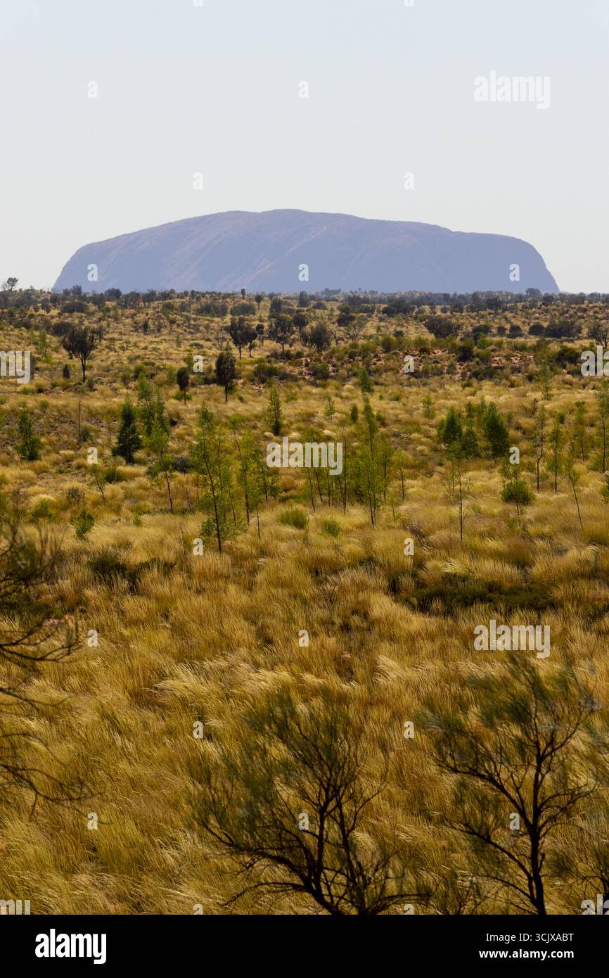 View of the majestic Uluru monolith rises distantly from the arid ...