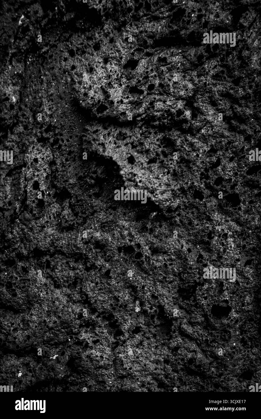 Nature nature concept Black and White Stock Photos & Images - Alamy