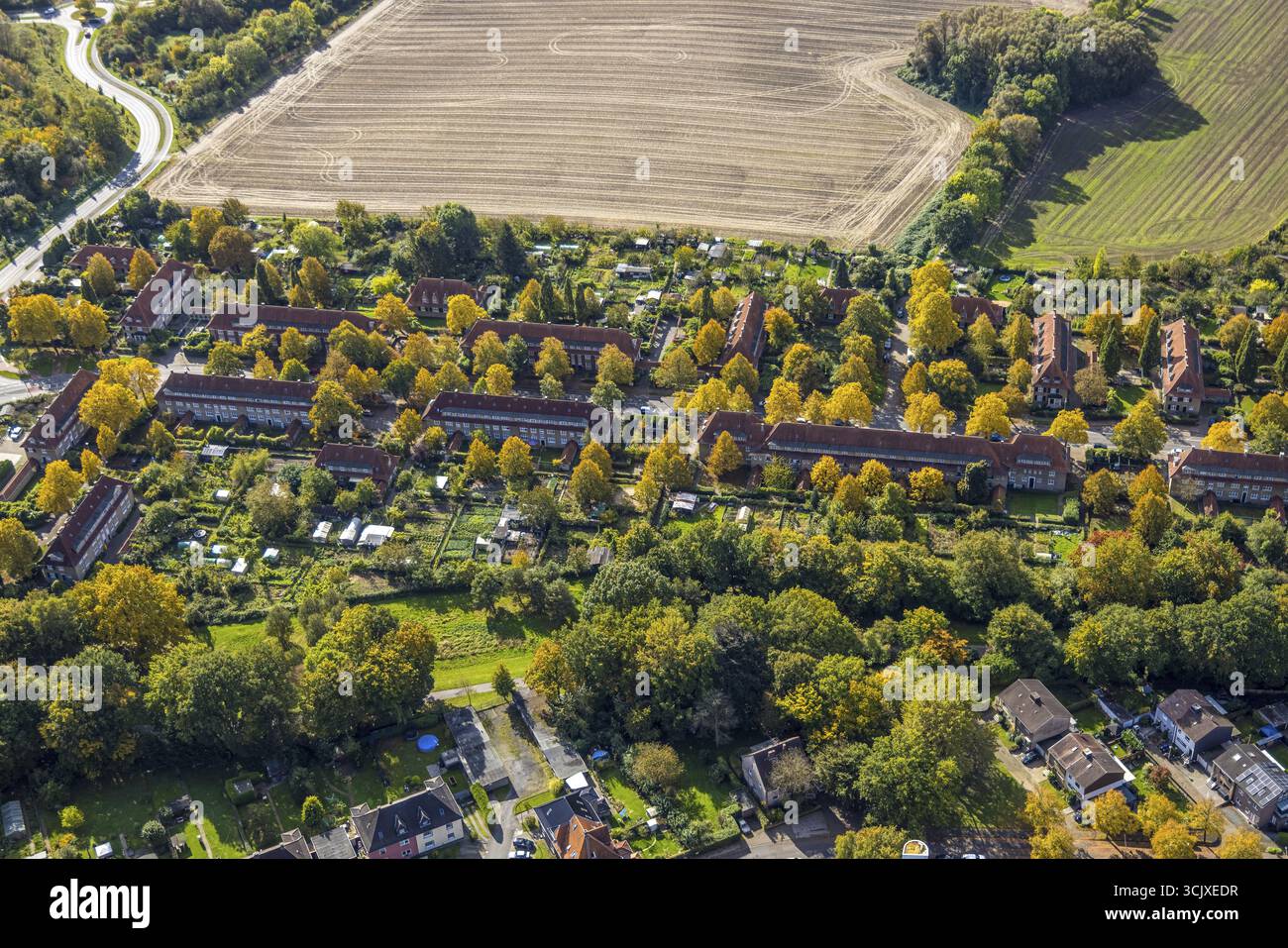 Aerial view, miners' housing estate Vogelsang, autumnal trees, district ...
