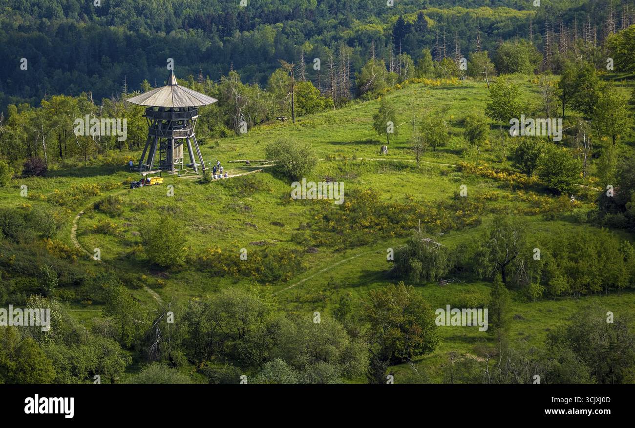 Aerial view, Eggeturm observation tower on the Lippische Velmerstot ...
