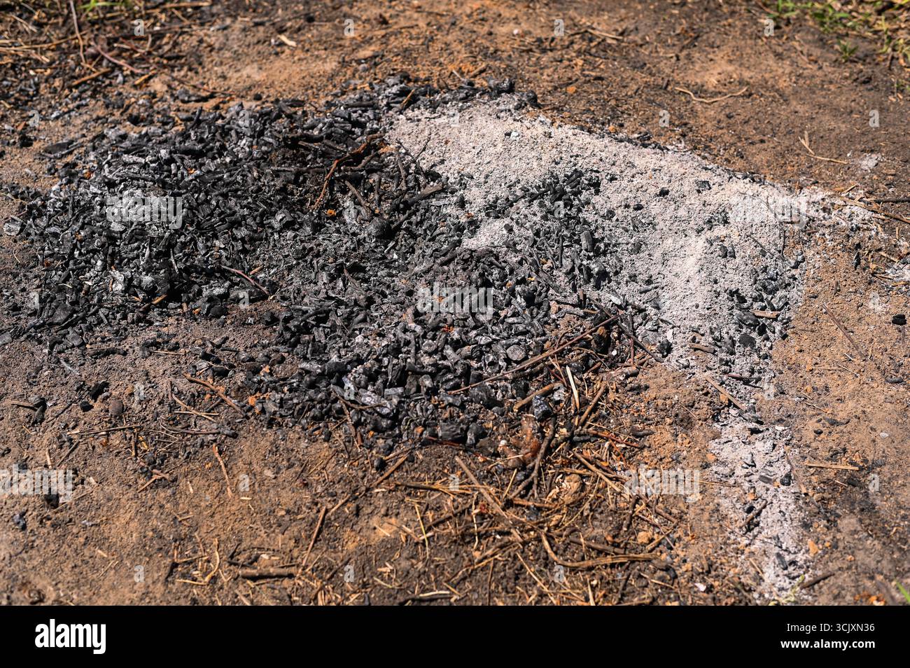 Wood ashes on ground hi-res stock photography and images - Alamy