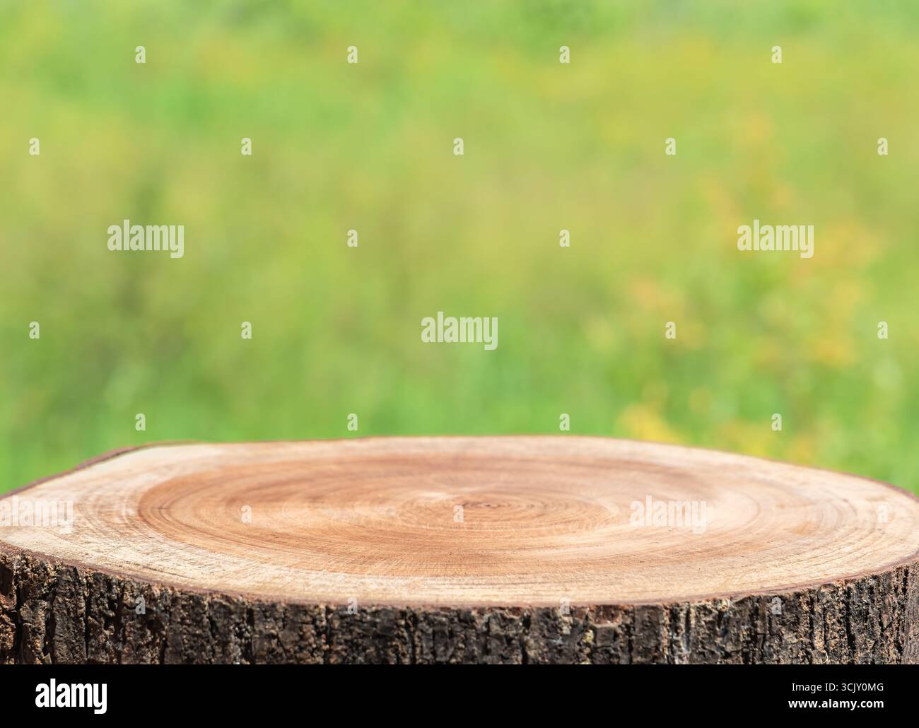 Round podium on garden hi-res stock photography and images - Alamy