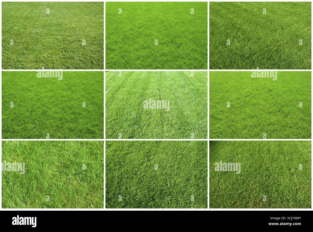 Sunlight farming Cut Out Stock Images & Pictures - Alamy