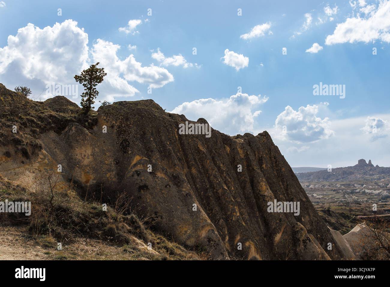 silhouette of a tree on a geologically shaped hill on a cloudy day ...