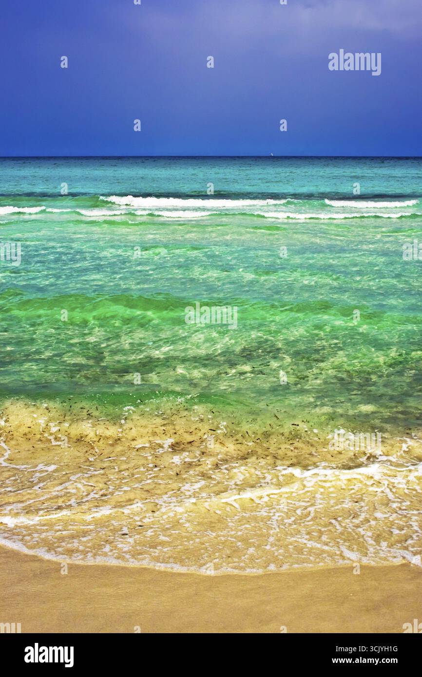 Sandy beach La Cinta in Sardinia, Italy Stock Photo - Alamy