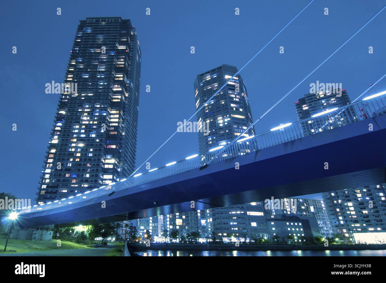 Huge residential skyscrapers with illuminated windows beyond ...