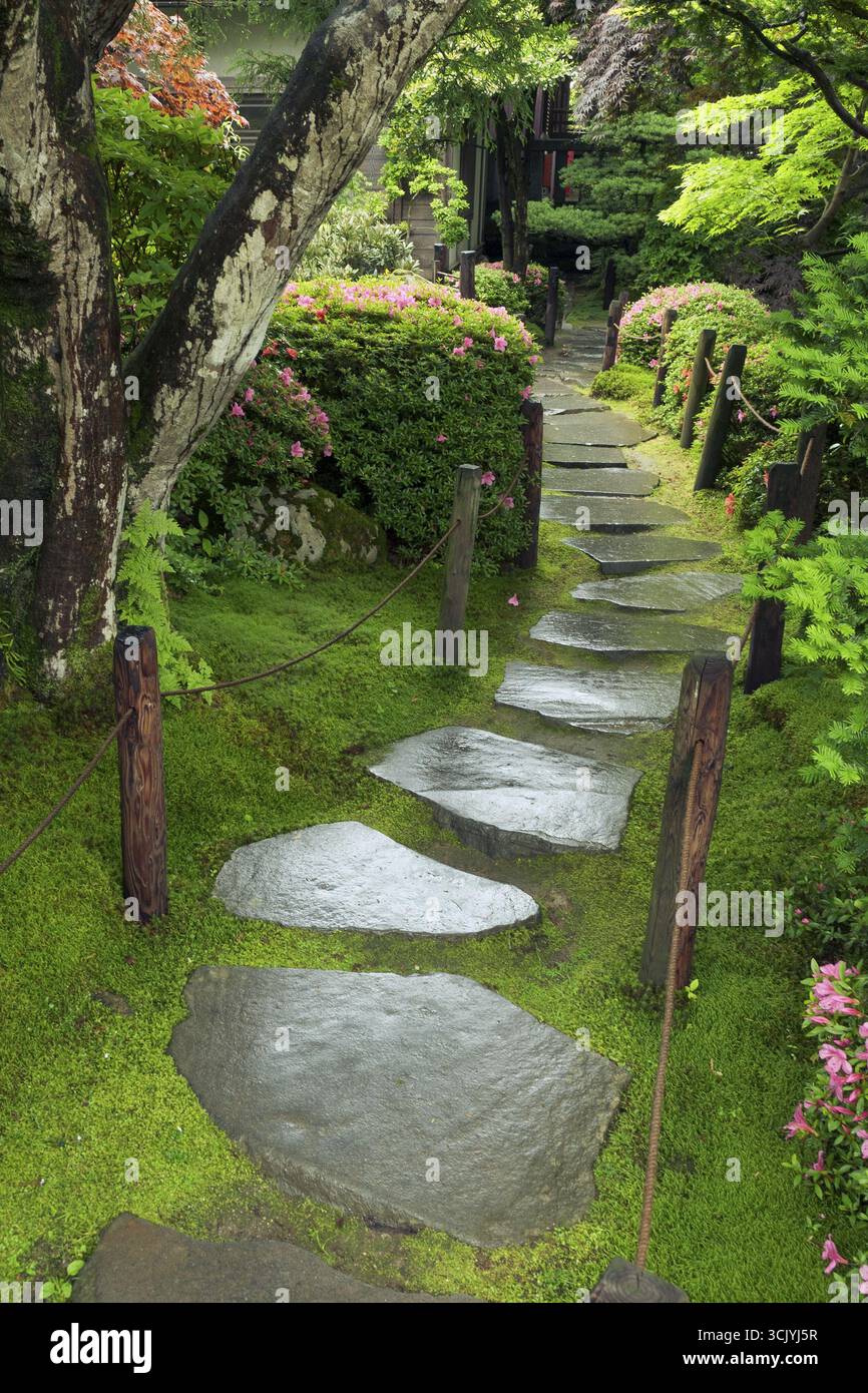 Wet stone pathway in Japanese Zen garden by summer Stock Photo - Alamy