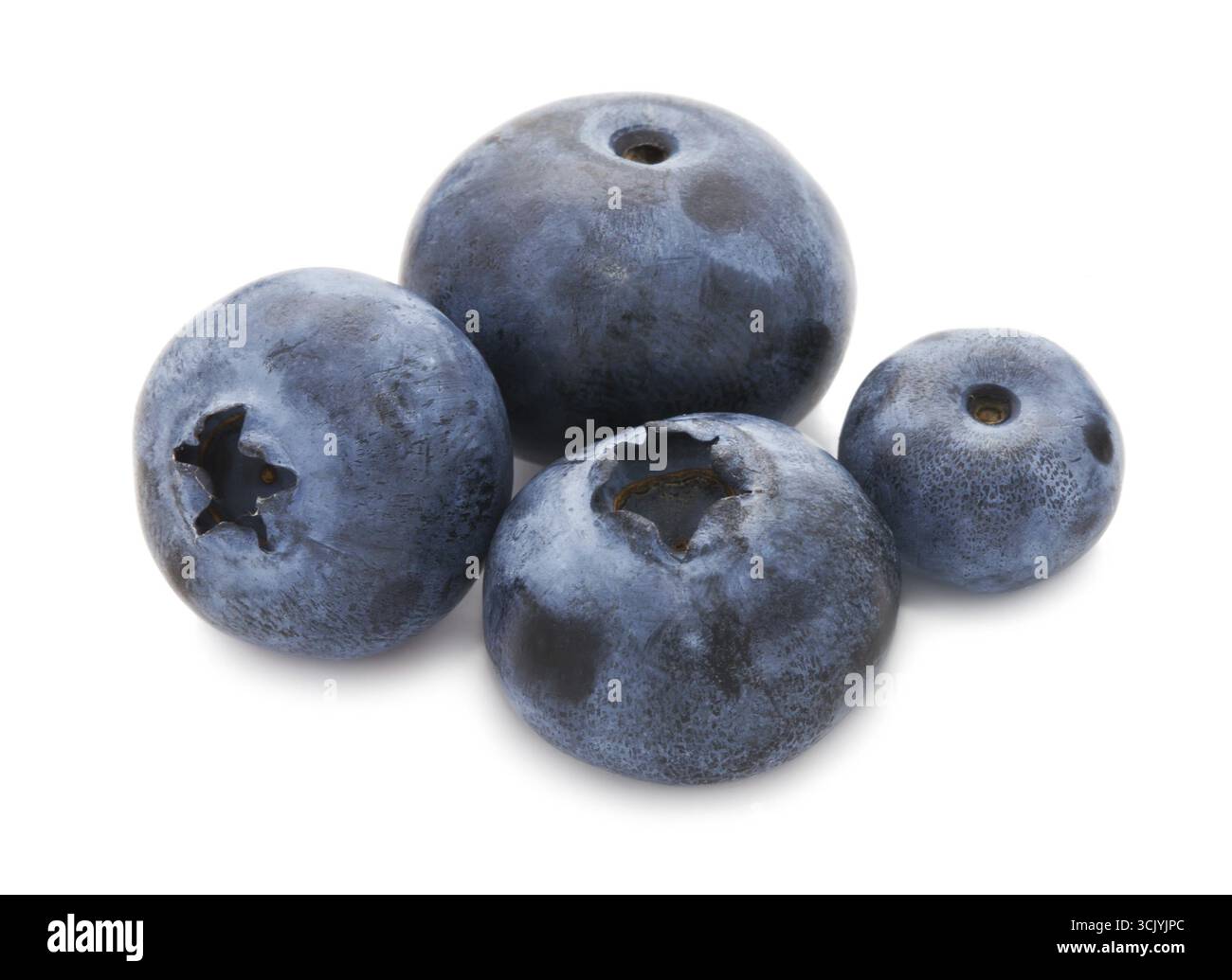 Fresh blueberry or bilberry isolated on white background Stock Photo ...