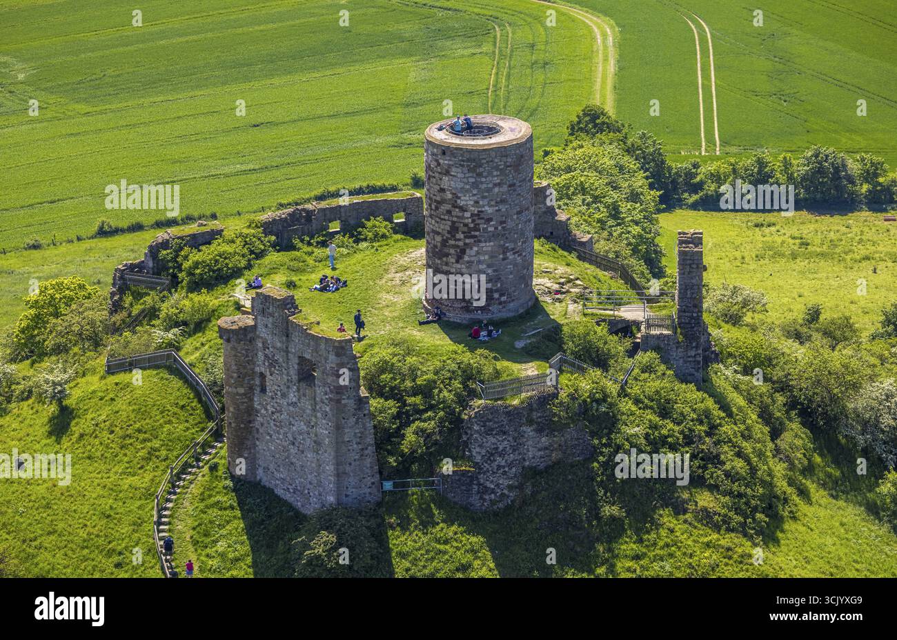 Aerial view, Desenberg Castle on a volcanic cone, historical sight ...