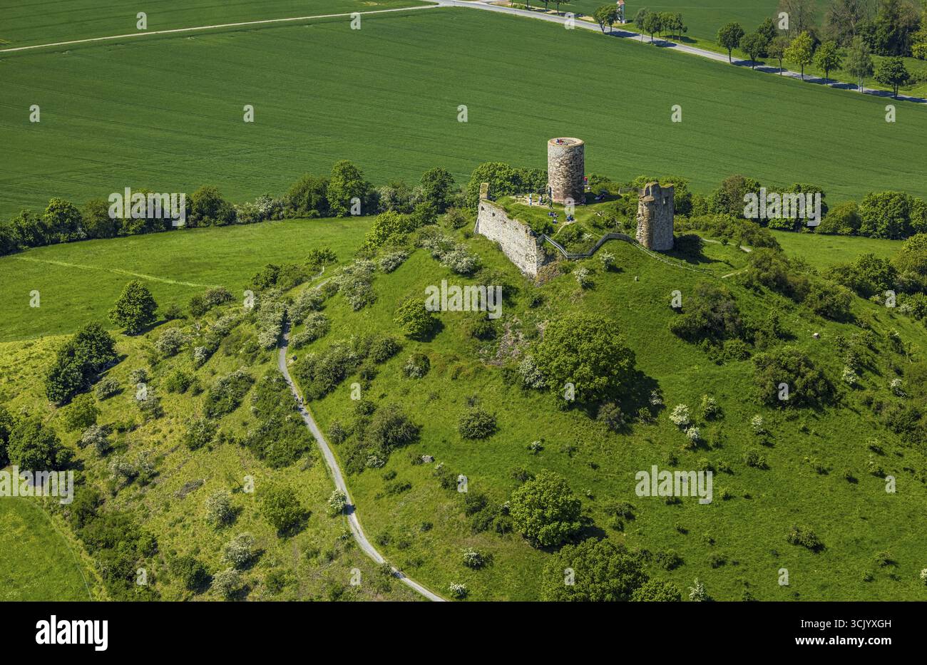 Aerial view, Desenberg Castle on a volcanic cone, historical sight ...