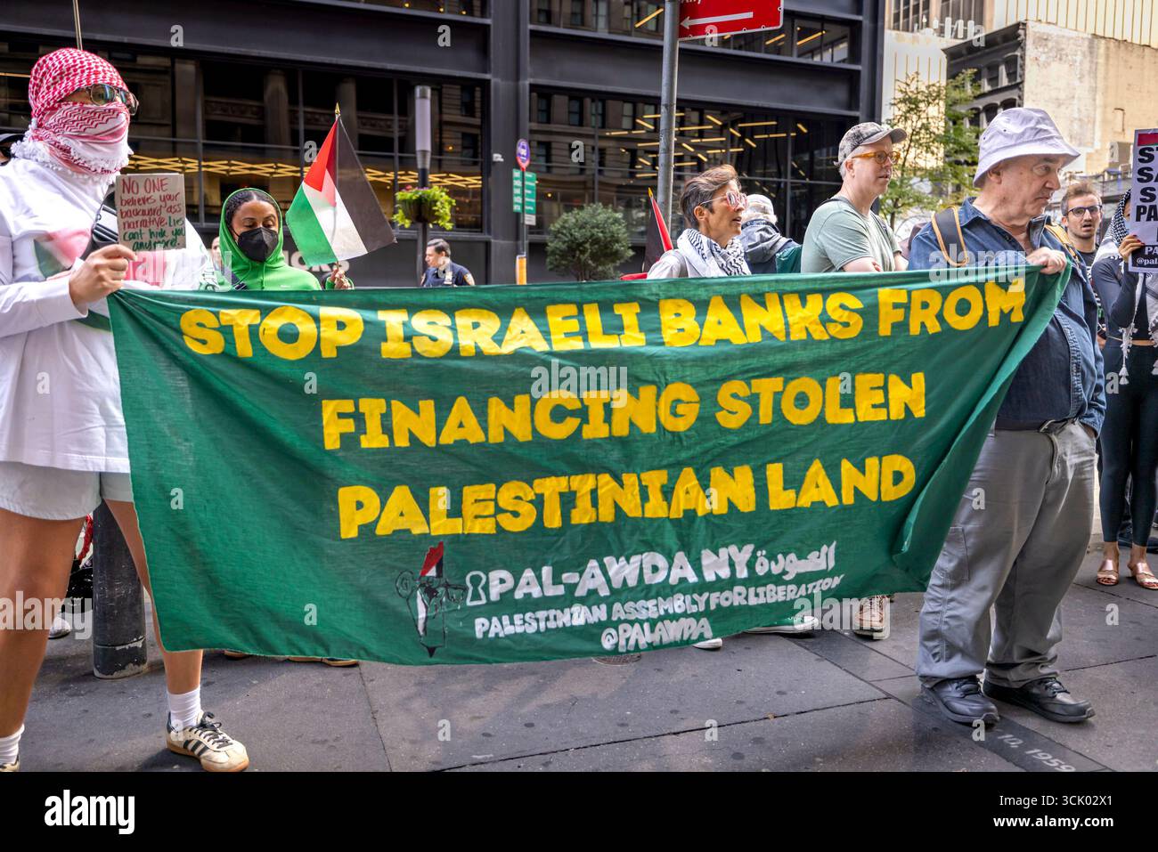 Pro-Palestinian and pro-Israel demonstrators face-off during "Stop The ...