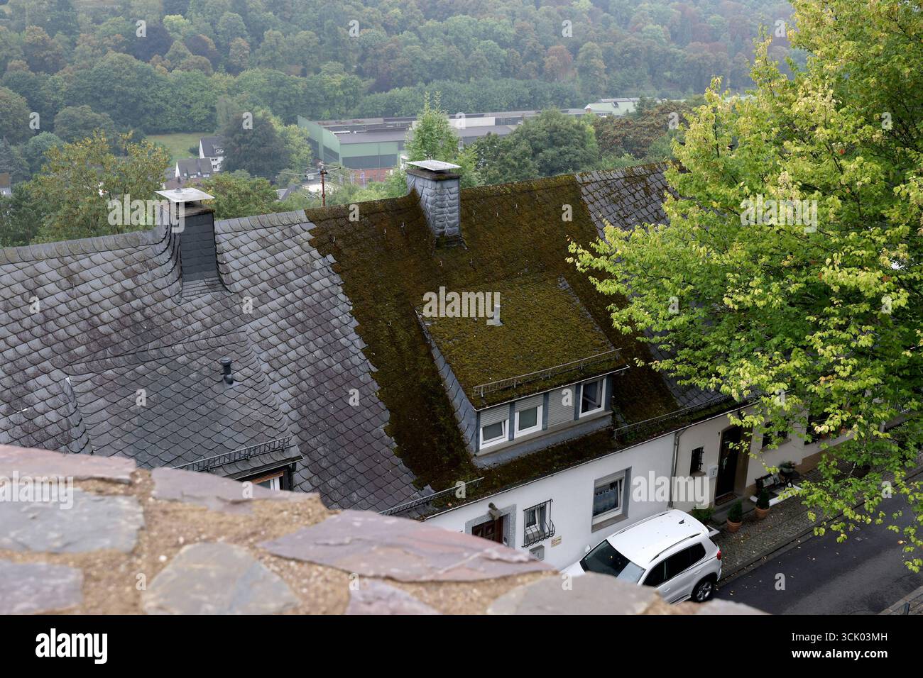 Ein Hausdach in Siegen ist teilweise stark mit Moos befallen. Hausdach ...