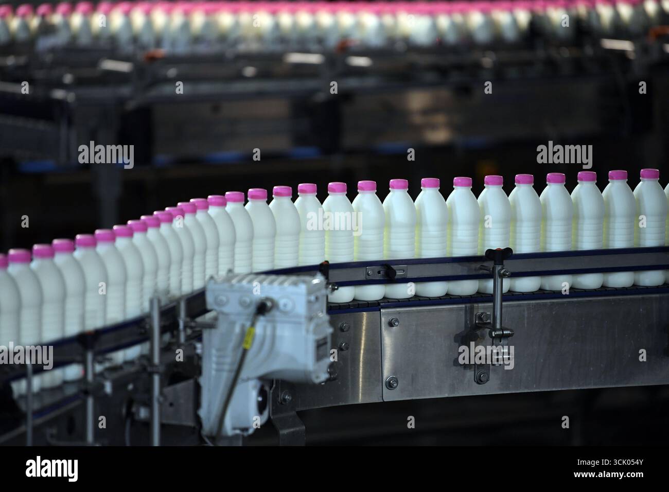 (250909) -- TEHRAN, Sept. 9, 2025 (Xinhua) -- Dairy products are seen ...