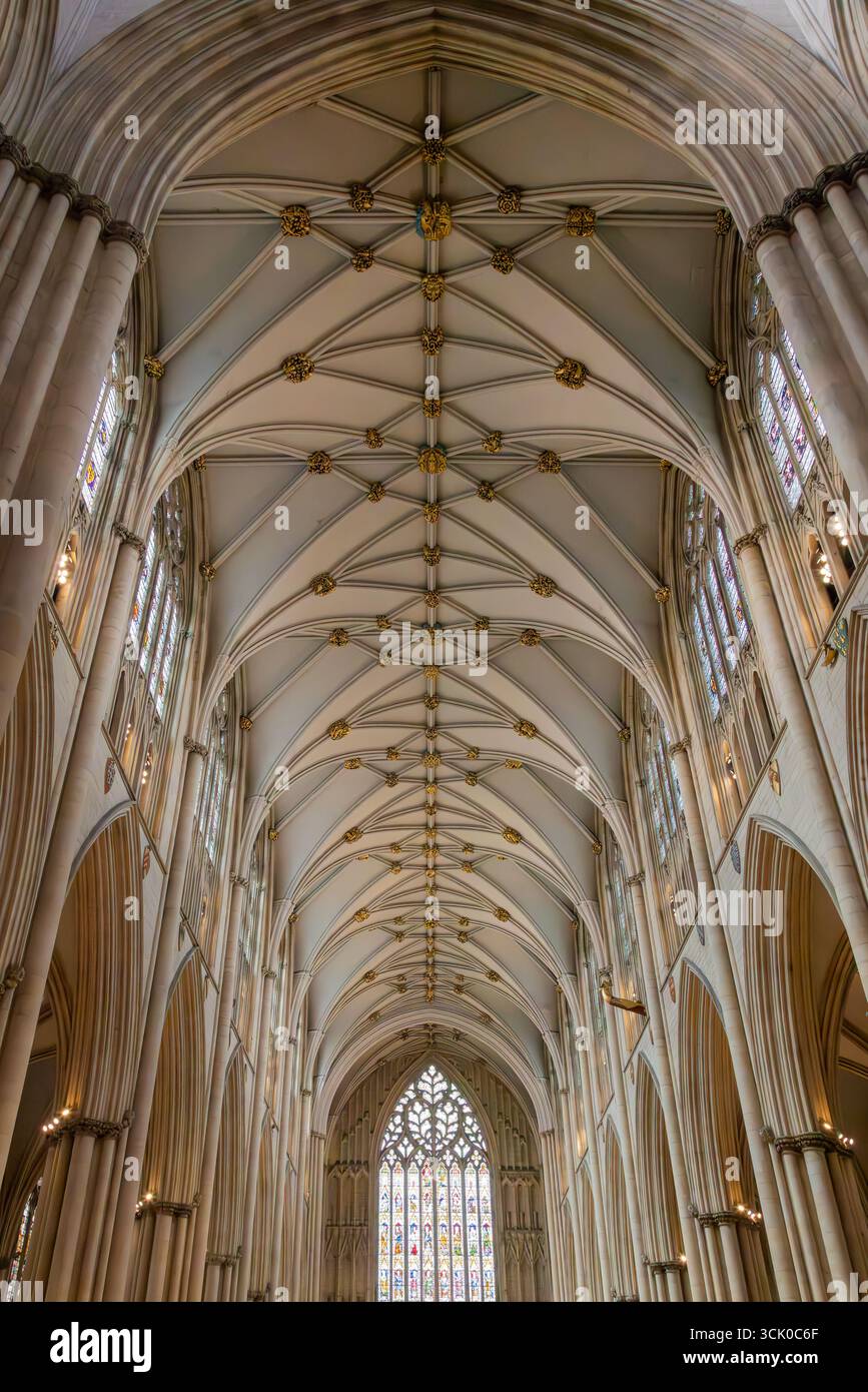 York Minster interior in York, England, featuring ribbed Gothic vaults ...