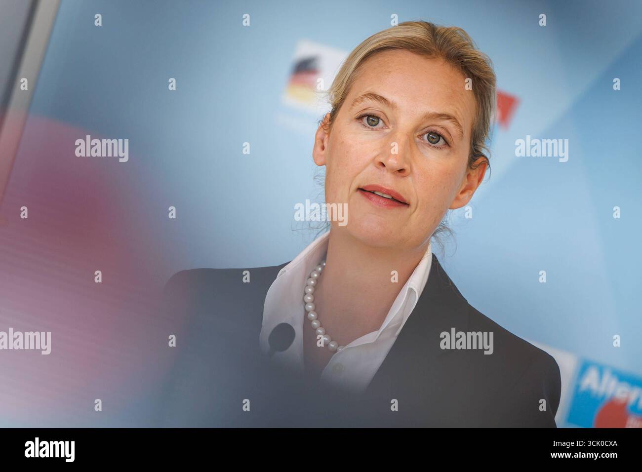 Statement AfD Alice Weidel AfD, bei einem Statement der AfD am 09.09.25 ...