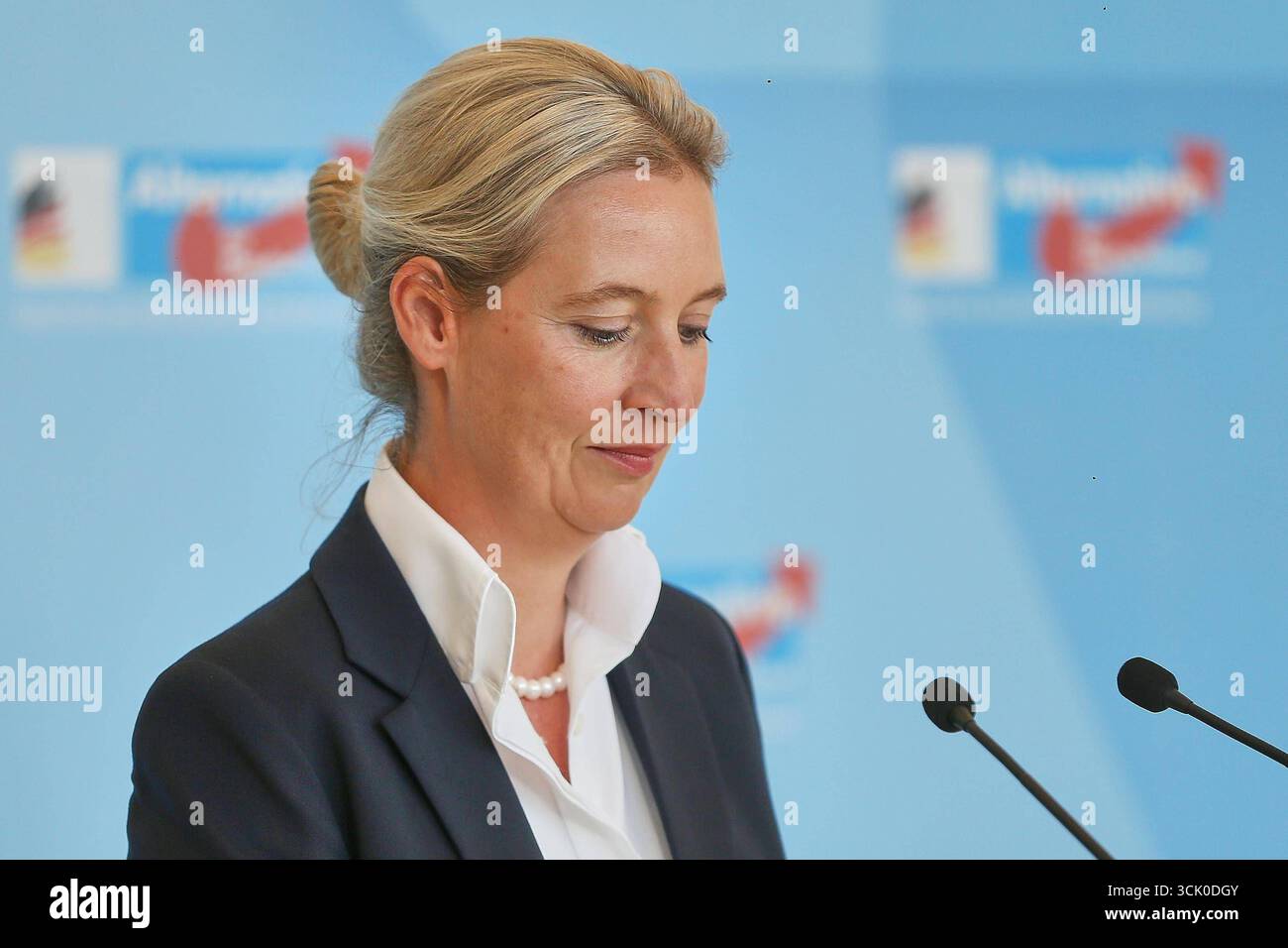 Berlin, Deutschland, 09.09.2025: Deutscher Bundestag: AfD ...