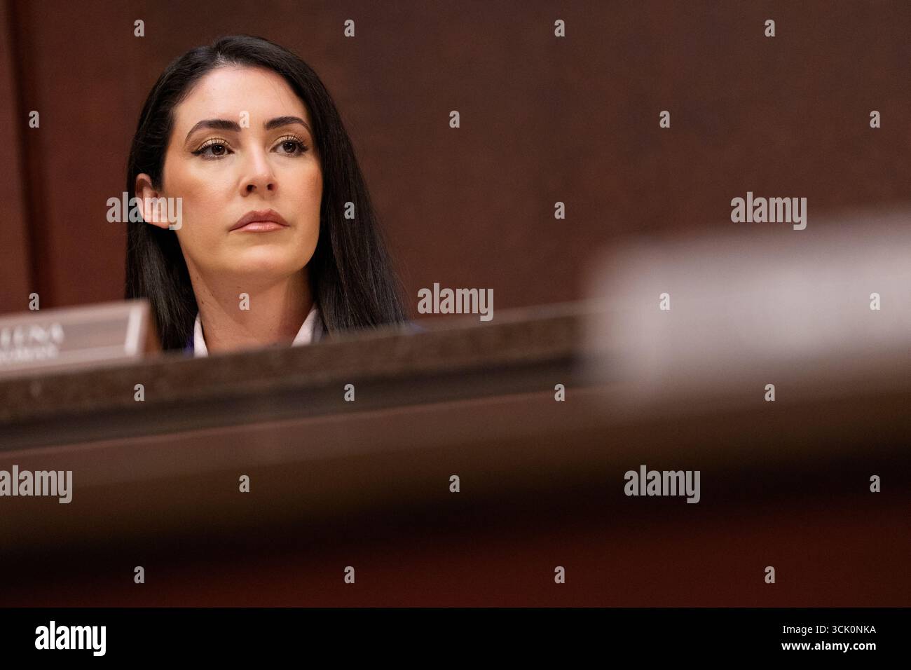 Chairwoman Anna Paulina Luna (R-FL) during a House Oversight Committee ...