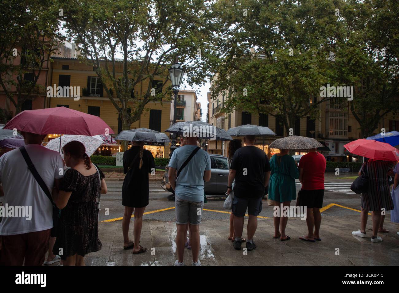 09 September 2025, Spain, Palma: People with umbrellas walk through ...