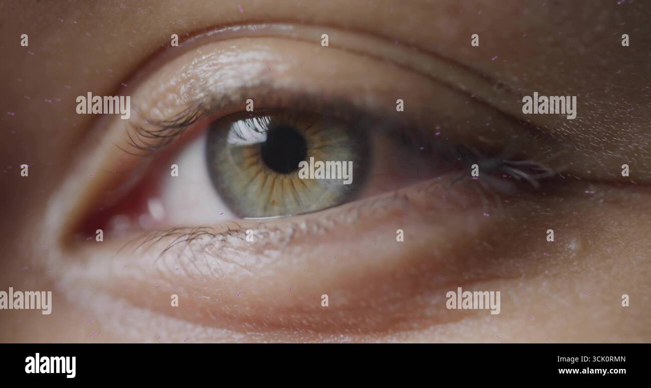 Single eye showing hazel iris and pupil in studio close-up with softbox ...