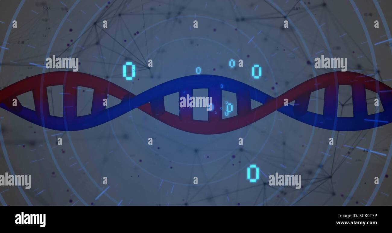 Stylized red blue dna hi-res stock photography and images - Alamy