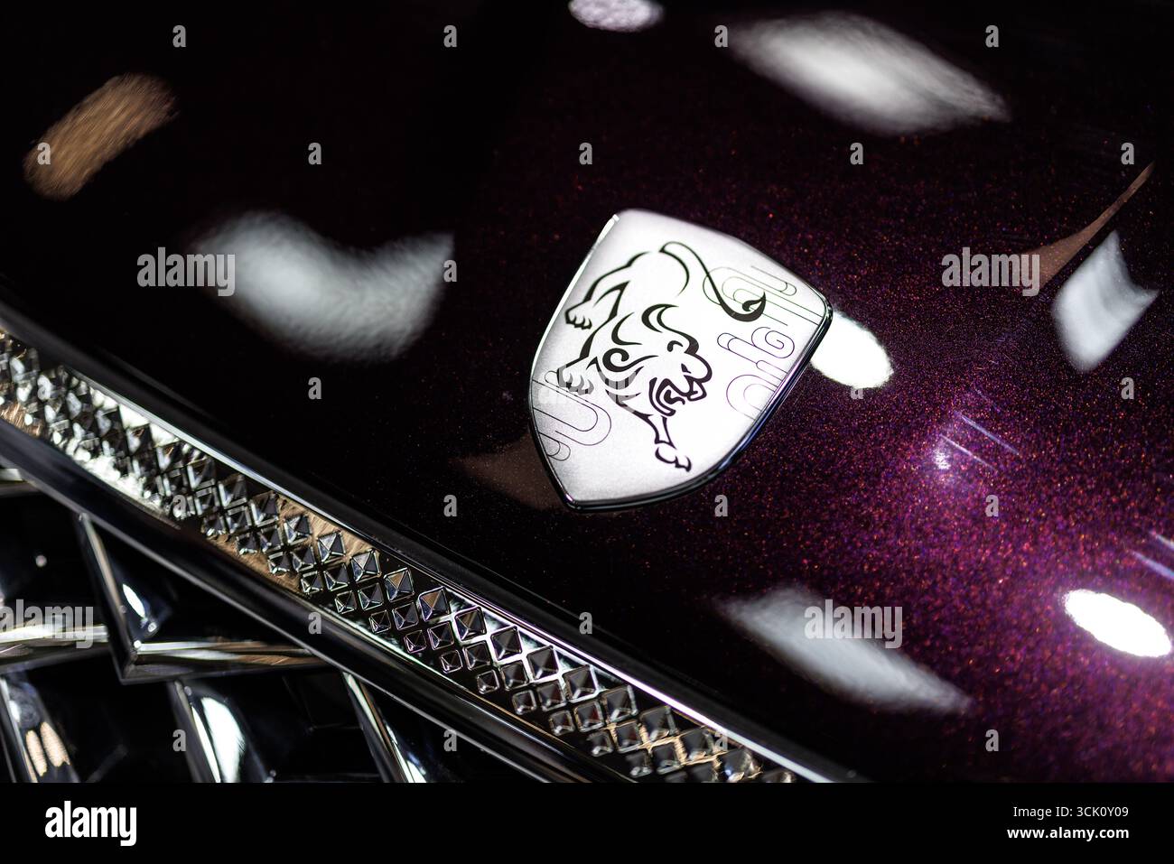 08 September 2025, Bavaria, Munich: The brand logo of Forthing (brand ...