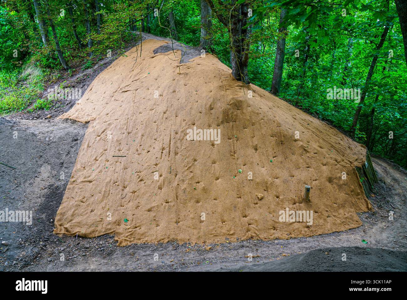 Forest slope covered with natural fiber erosion control matting to ...